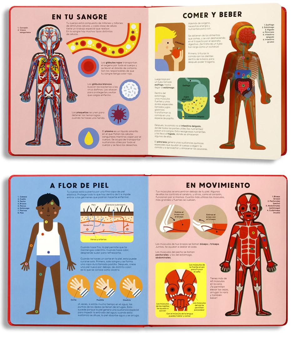 El cuerpo humano - Edelvives