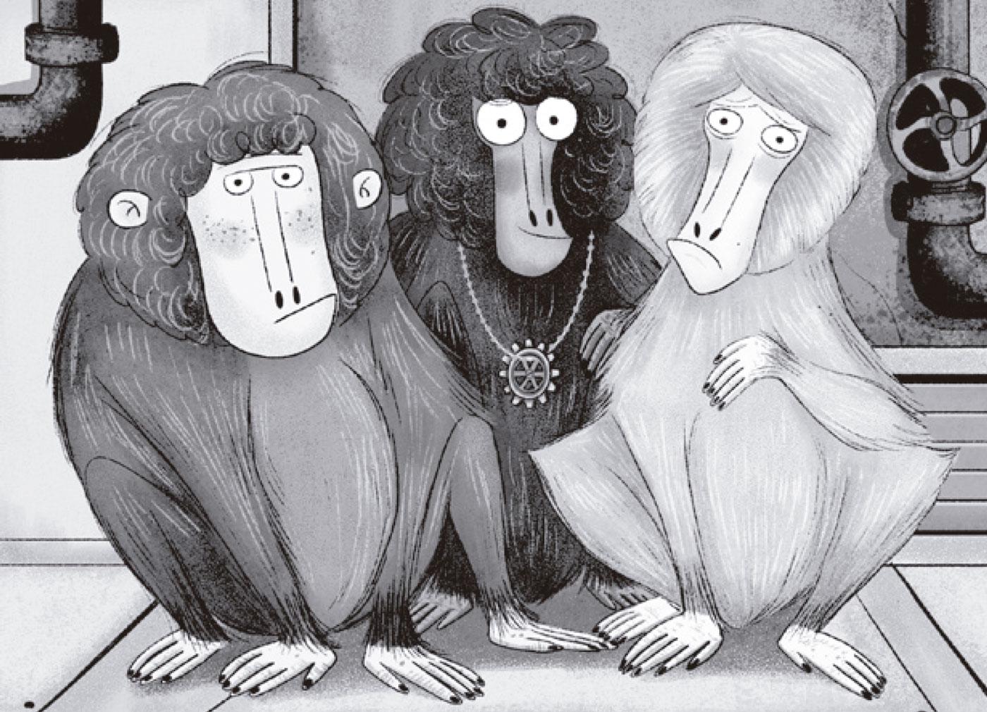 Martín, rey de los monos - Edelvives